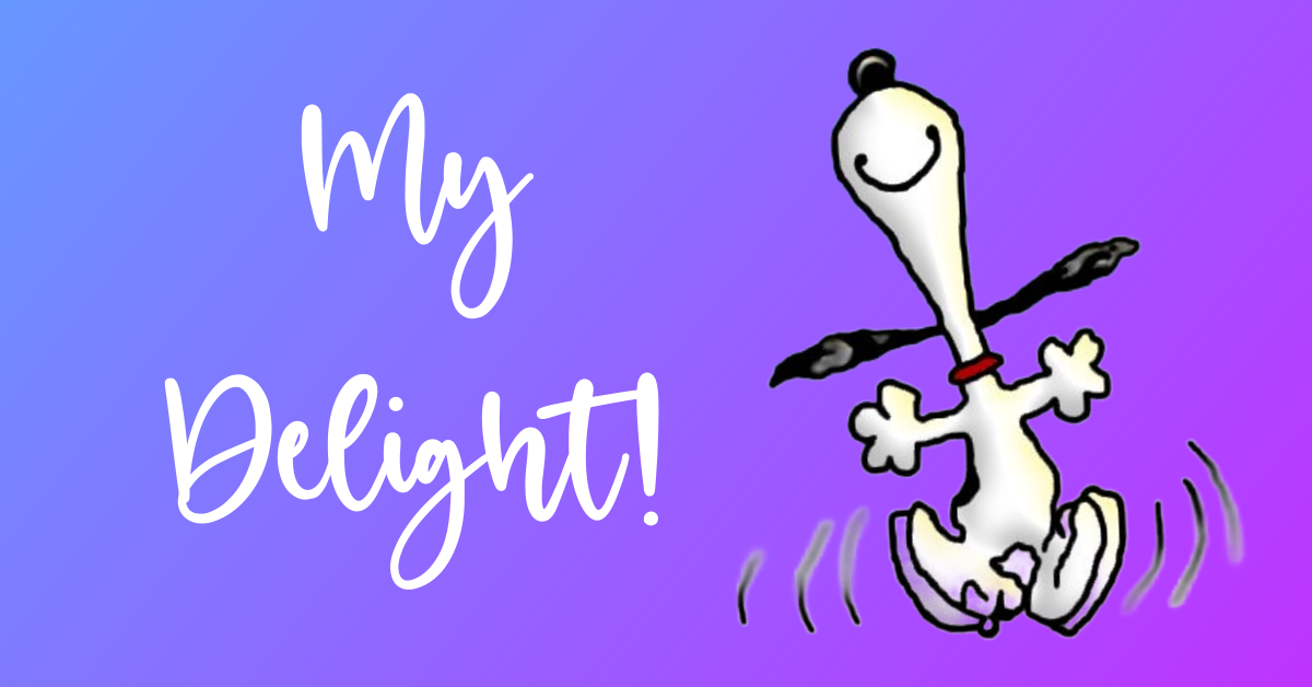 My Delight! – My Paisley Chair